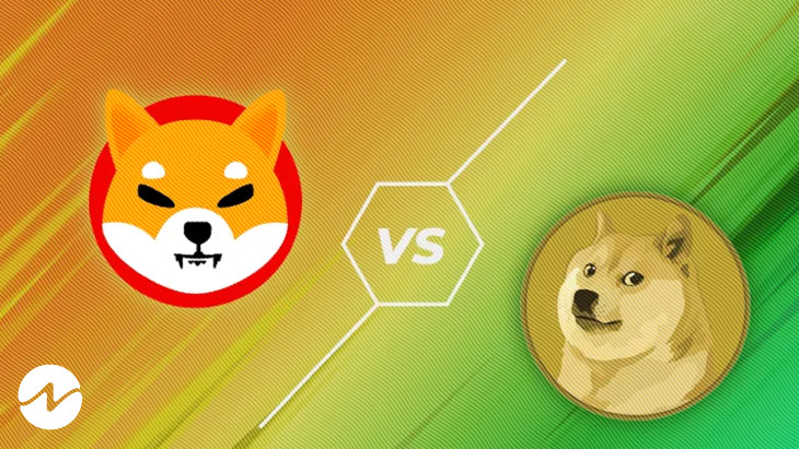 CoinStats - Two Most Popular Meme Coins: Dogecoin Vs Shib...