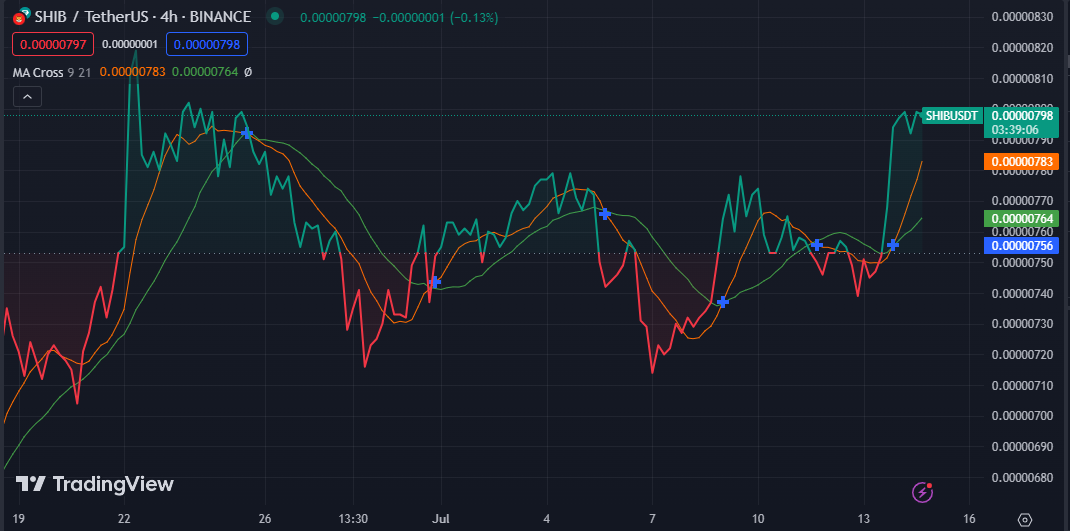 Shiba Inu Multi Million Dollars Whale Reactivated, Right Time to Buy SHIB?