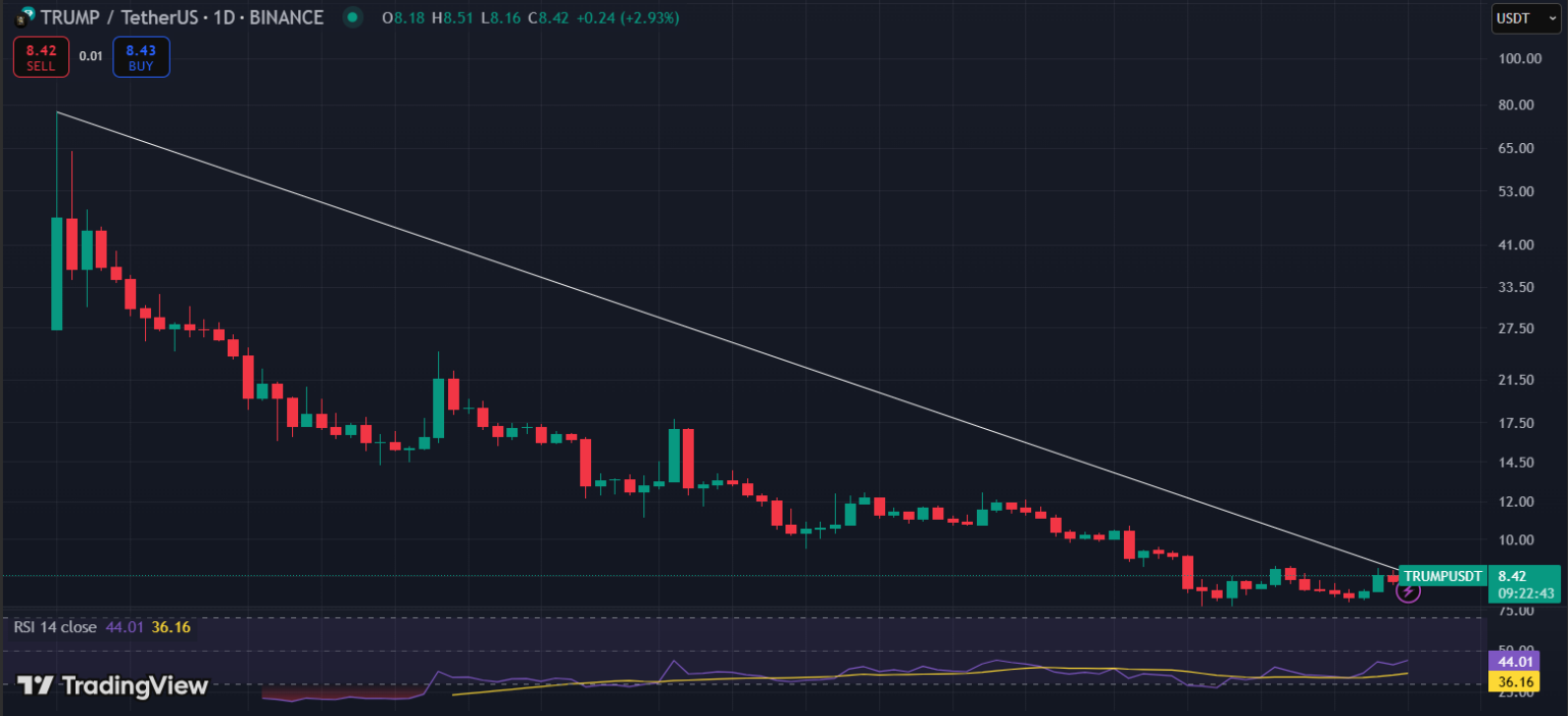 The Rise and Fall of Meme Coins: From Dogecoin to the 2025 Crash