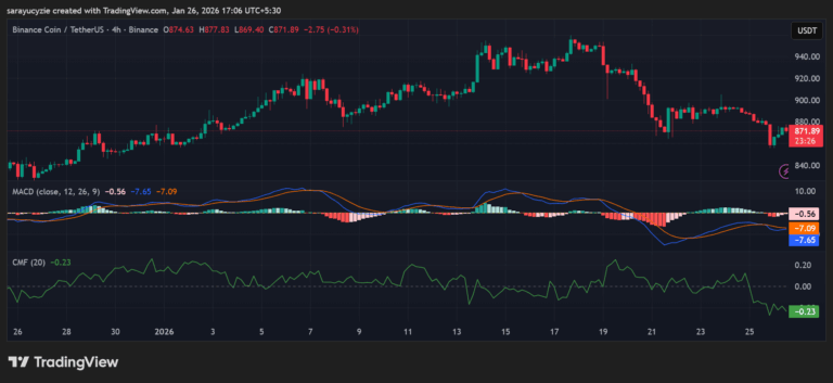 BNB Under Pressure: With Volume Up 63%, Will Bulls Reload or Bears Take ...