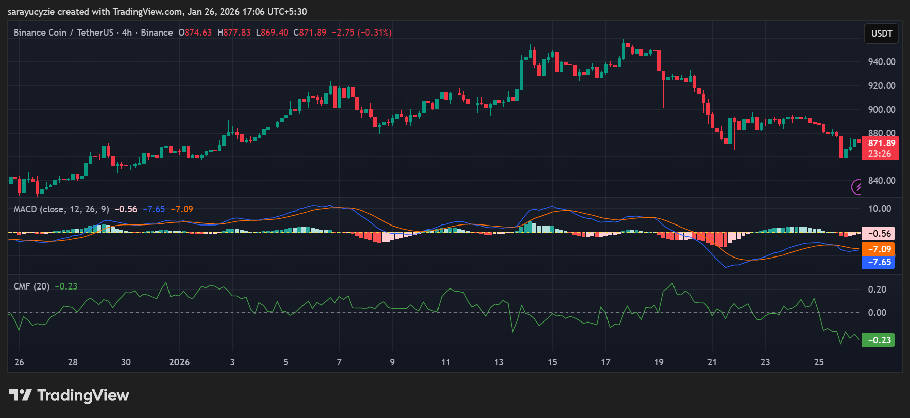 BNB Under Pressure: With Volume Up 63%, Will Bulls Reload or Bears Take ...