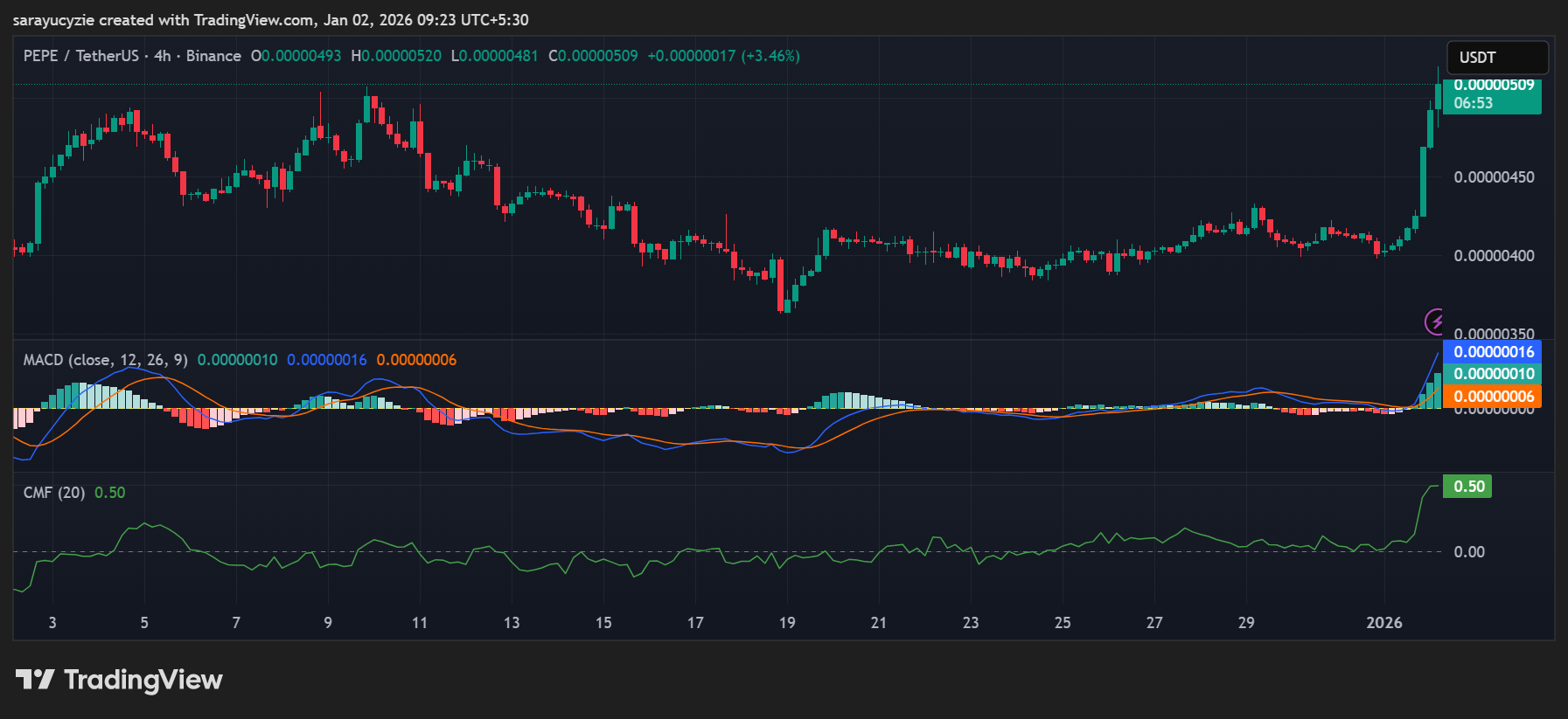PEPE Rockets 27%: Is the Momentum Sustainable or a Classic Meme Coin Trap?